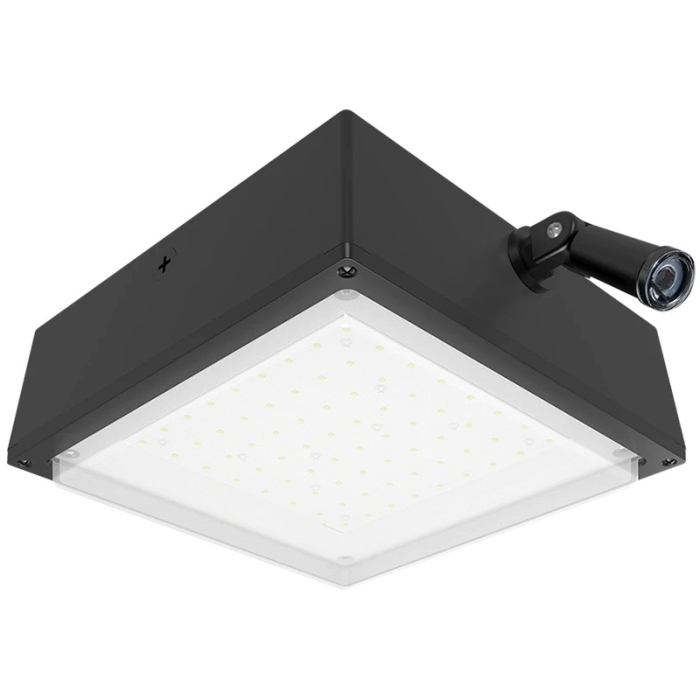 RAB VANLED40NFR/PCS 40W LED Canopy Light - 120V Swivel Photocell ...